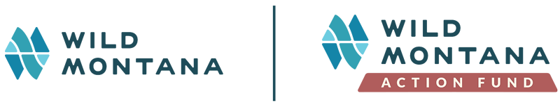 Join the Action Team